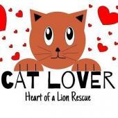 Nonprofits and Charities in Charlotte, North Carolina