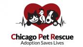 Nonprofits and Charities in Chicago, Illinois
