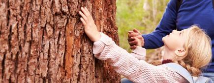 Seattle, WA Nonprofits and Charities | Donate, Volunteer, Review ...