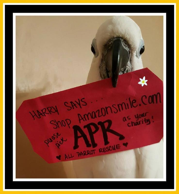 Cockatoo Rescue Washington