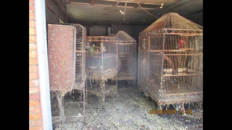 The Parrot Posse Reviews and Ratings | Wadmalaw Is, SC | Donate ...