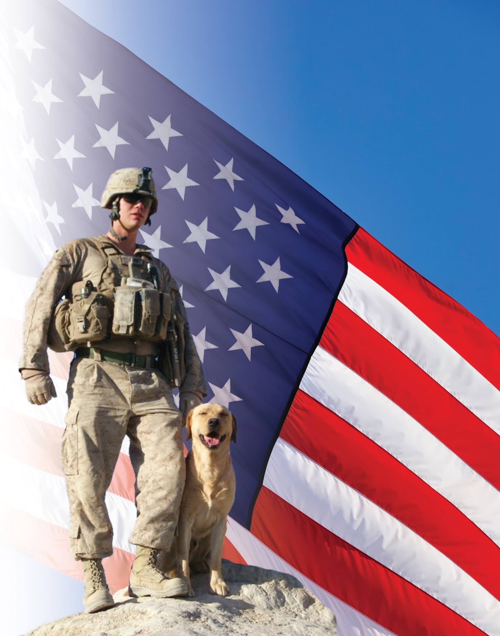 American Humane Reviews and Ratings | Washington, DC | Donate ...