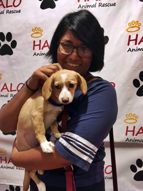 HALO Animal Rescue Reviews and Ratings | Phoenix, AZ | Donate ...