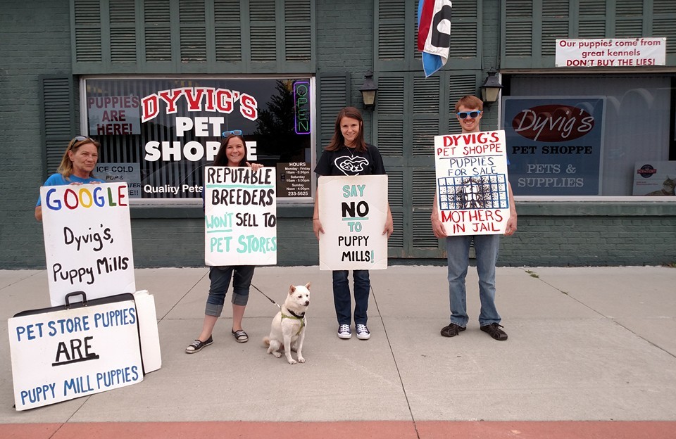 Bailing Out Benji Reviews and Ratings | Ames, IA | Donate, Volunteer ...