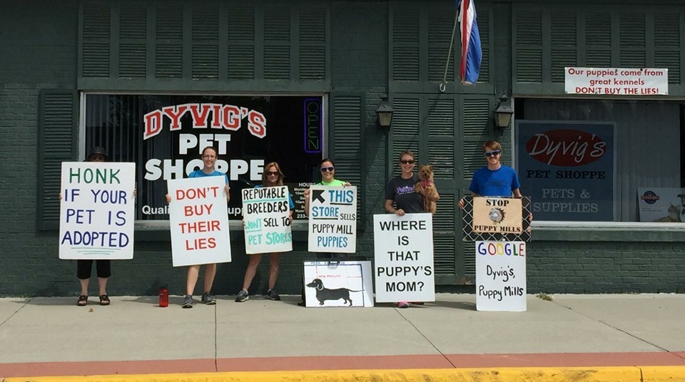 Bailing Out Benji Reviews and Ratings | Ames, IA | Donate, Volunteer ...