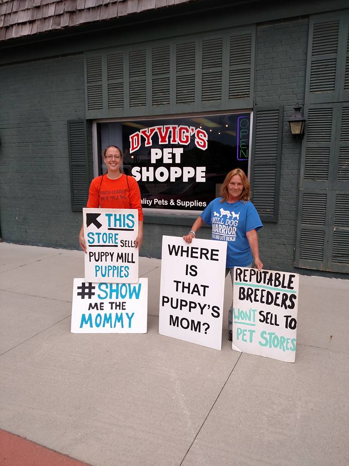 Bailing Out Benji Reviews and Ratings | Ames, IA | Donate, Volunteer ...