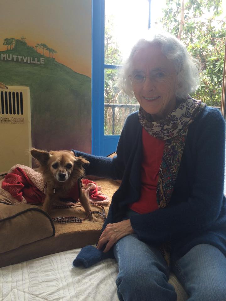 Muttville Senior Dog Rescue Reviews and Ratings | San Francisco, CA ...