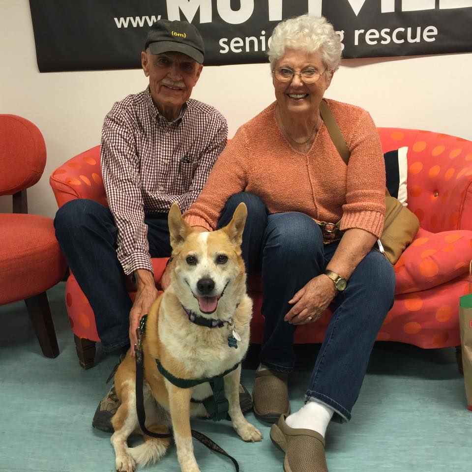 Muttville Senior Dog Rescue Reviews and Ratings | San Francisco, CA ...