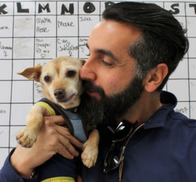 Muttville Senior Dog Rescue Reviews and Ratings | San Francisco, CA ...