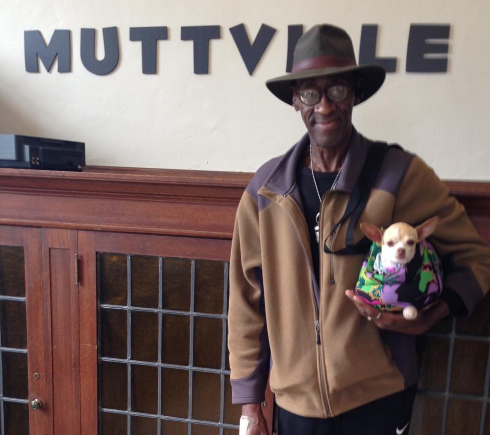 Muttville Senior Dog Rescue Reviews and Ratings | San Francisco, CA ...