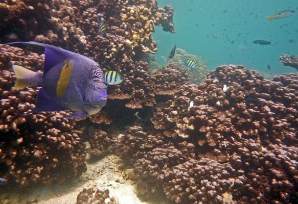 Biosphere Expeditions Reviews and Ratings from Professionals | Marina ...