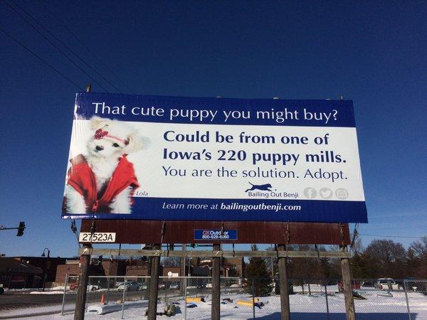 Bailing Out Benji Reviews and Ratings | Ames, IA | Donate, Volunteer ...