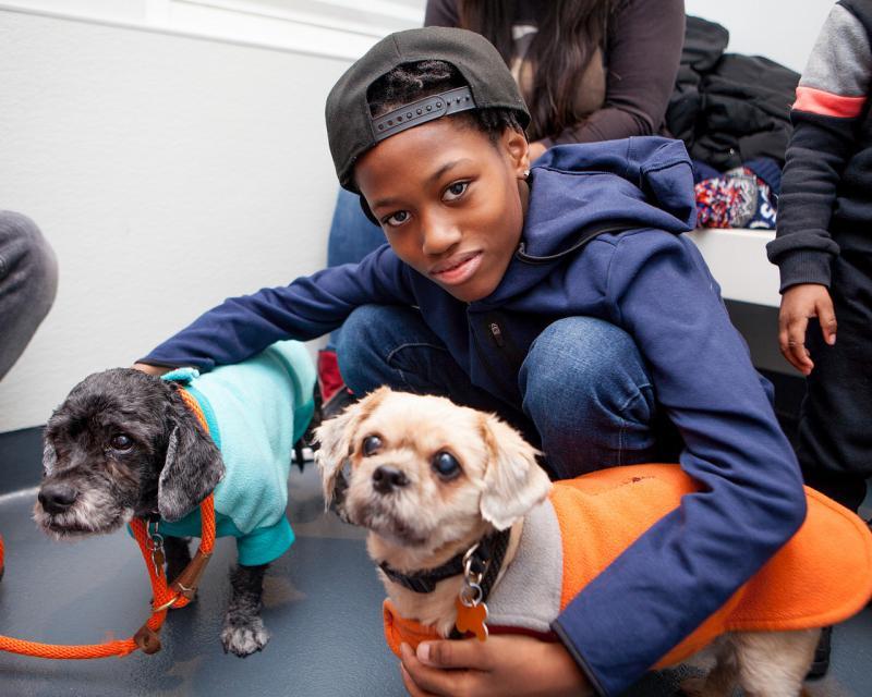 Best Friends Animal Society